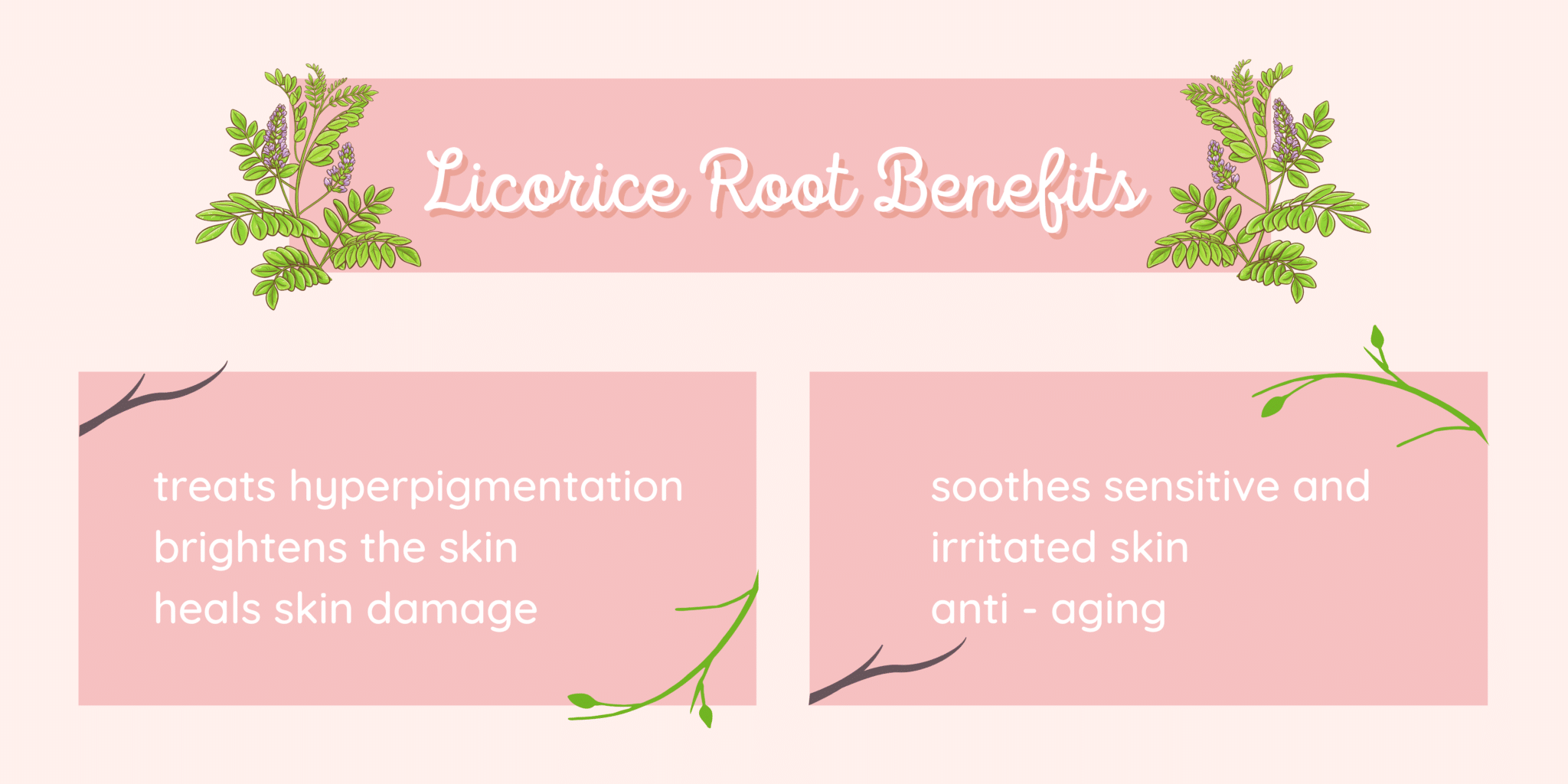Revealing the 5 Benefits of Licorice Root for Skin - Glam Skin Review